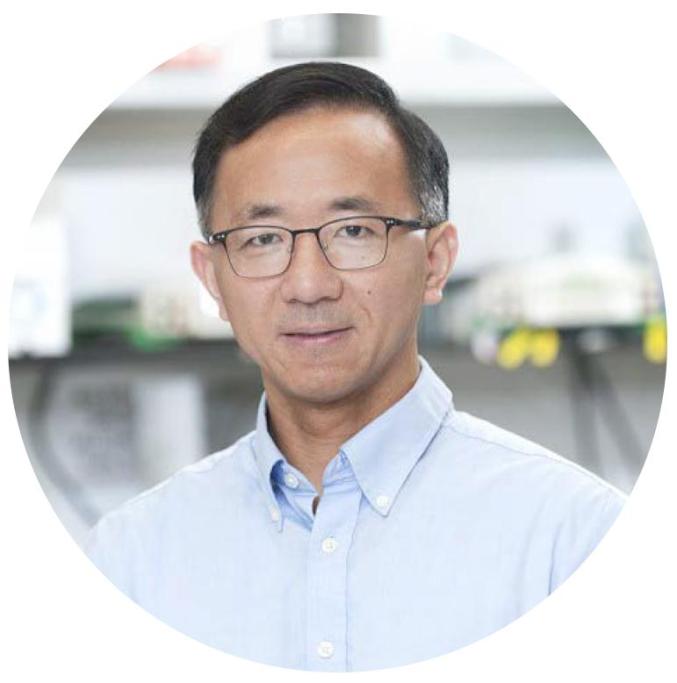 【线上论坛】浙大王福俤教授讲解：如何让铁死亡研究更精彩