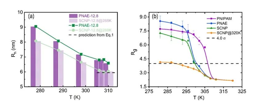 CCS Chemistry | 向蛋白质学习，PNIPAM高分子单链纳米粒子实现水相制备、折叠可控_澎湃号·政务_澎湃新闻-The Paper