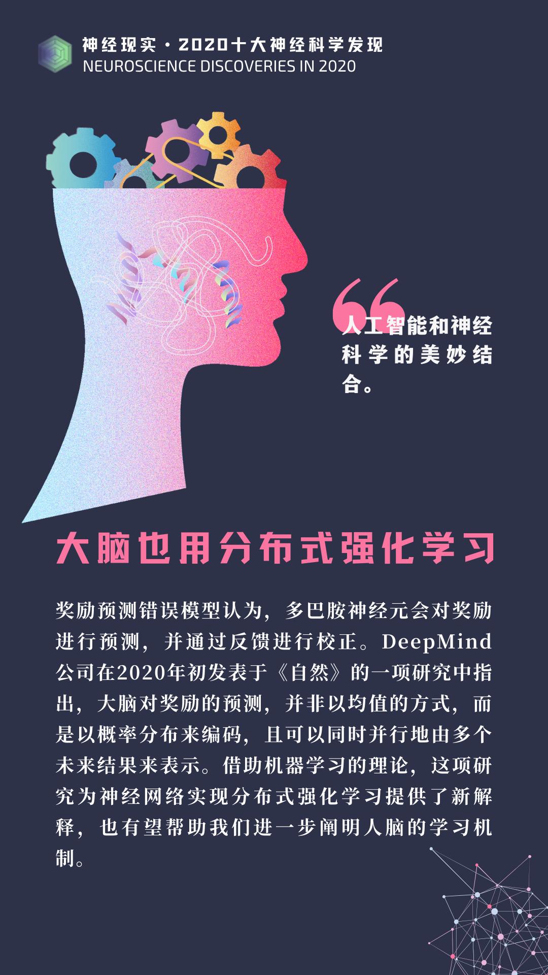 2020十大神经科学发现_澎湃号·湃客_澎湃新闻-The Paper