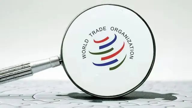 以高水平开放推动WTO改革_澎湃号·政务_澎湃新闻-The Paper