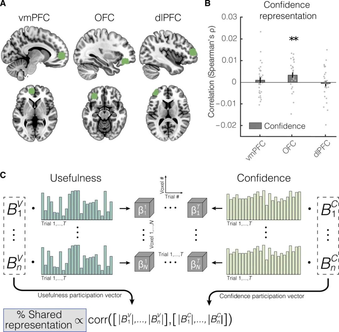 价值≠价格：vmPFC关心的是你要去向何方_澎湃号·湃客_澎湃新闻-The Paper