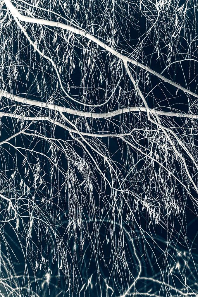 2020视觉日记，在房间里听风看雨_澎湃新闻-The Paper