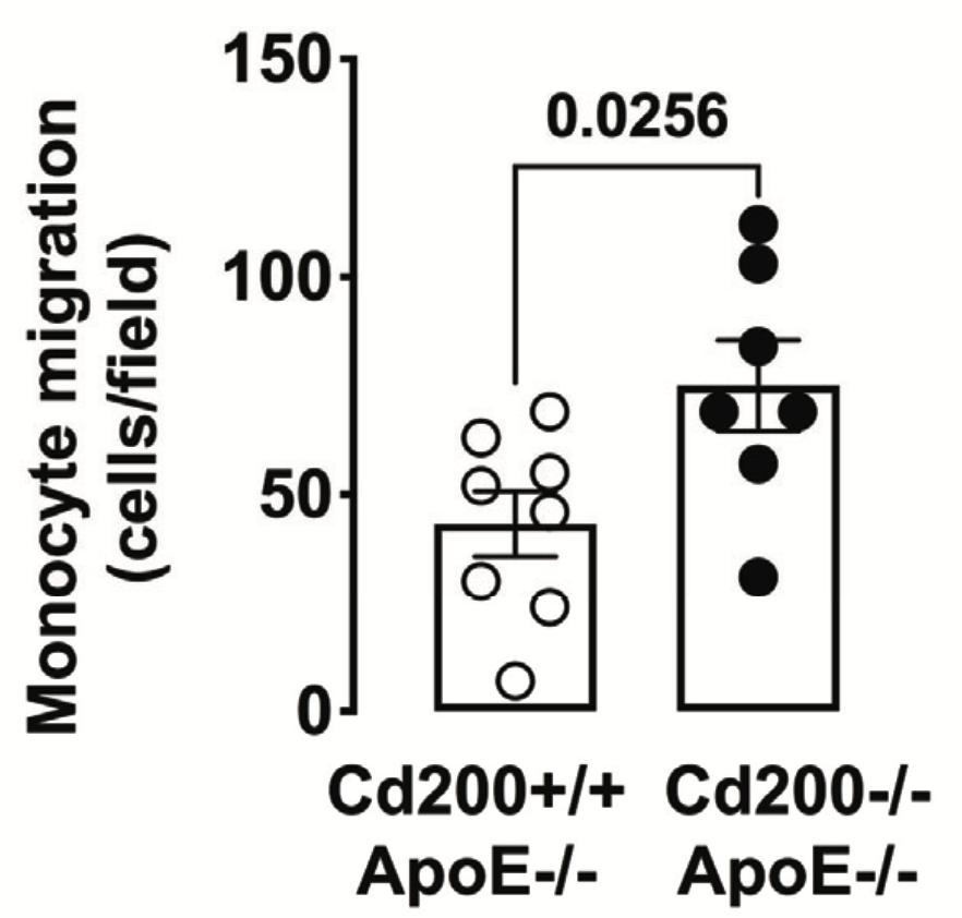 牛津科学家发现，CD200通过抑制单核细胞的生成和募集来缓解动脉粥样硬化