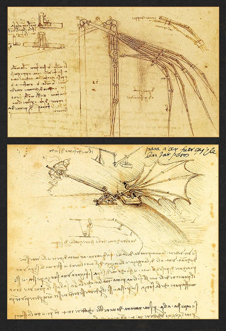 梦回1519年，与达·芬奇来一场智慧的碰撞