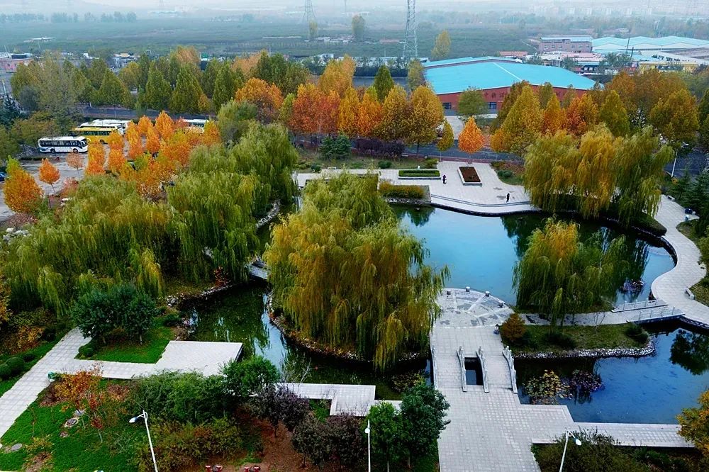 招生季丨校方预估录取位次，山东职业学院C328呼叫你！_澎湃号·政务_澎湃新闻-The Paper