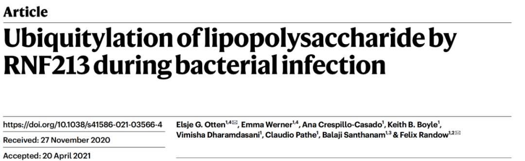 《自然》：科学家首次发现，泛素化底物竟然可以不是蛋白质_澎湃号·湃客_澎湃新闻-The Paper