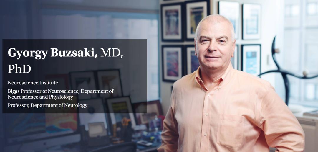 大脑记忆信号与血糖水平有关