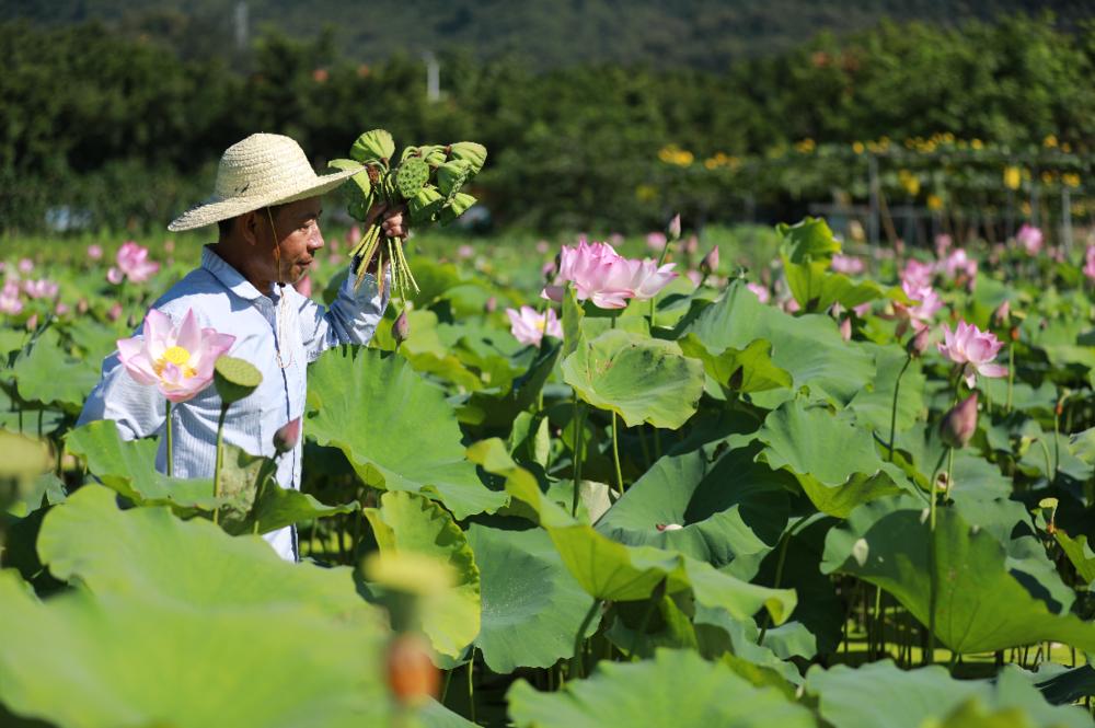 9月16日，快来玩！_澎湃号·政务_澎湃新闻-The Paper