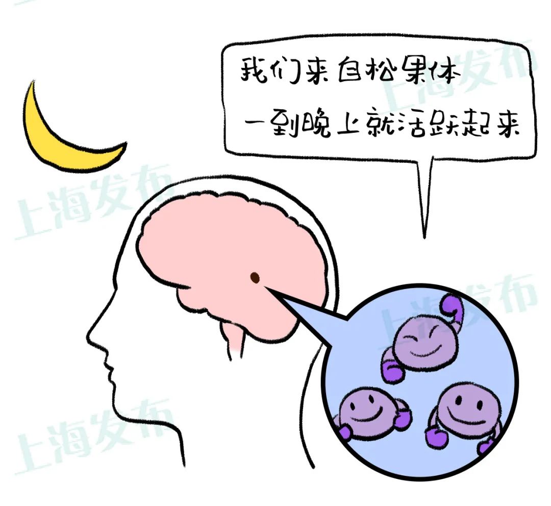 【医聊】褪黑素只是保健品，失眠不能依赖TA