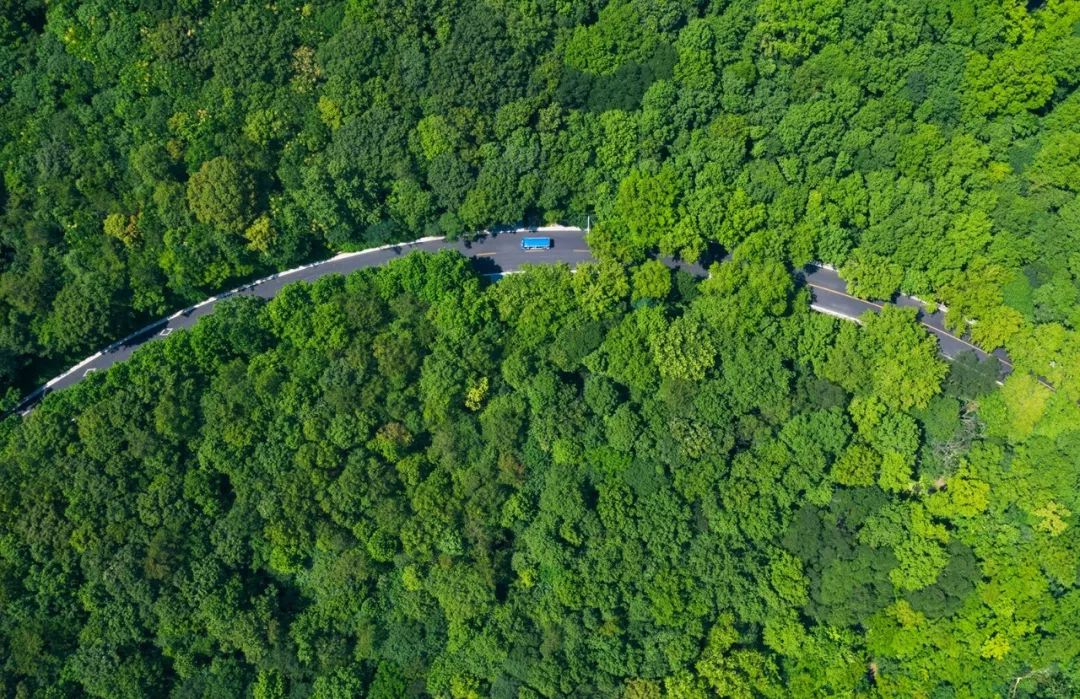 看！低碳72策_澎湃号·政务_澎湃新闻-The Paper