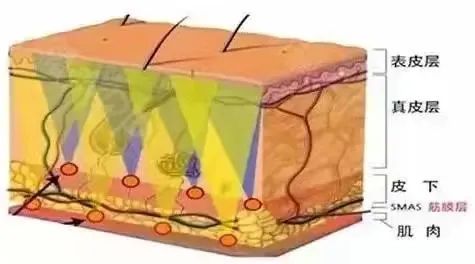 医美这些真相，你一定要知道_澎湃号·湃客_澎湃新闻-The Paper