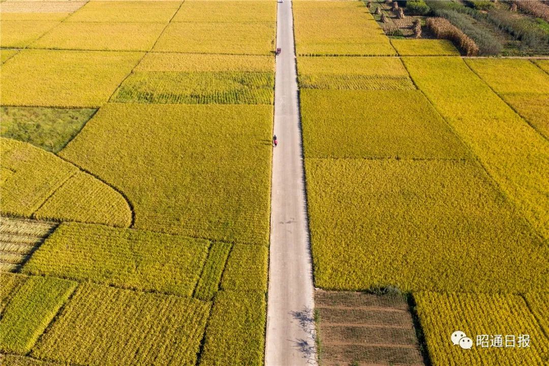 影像丨车应华:金秋时节的昭鲁坝子 澎湃号·媒体 澎湃新闻 The Paper