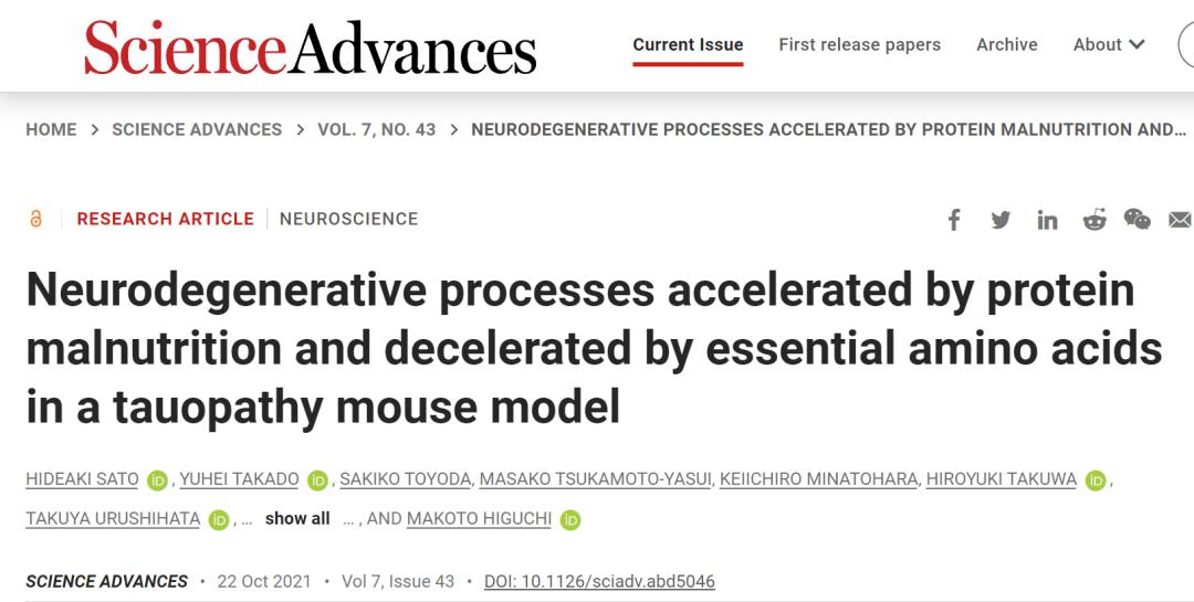 低蛋白质饮食可能会加速失智，但一种氨基酸组合可减缓进程