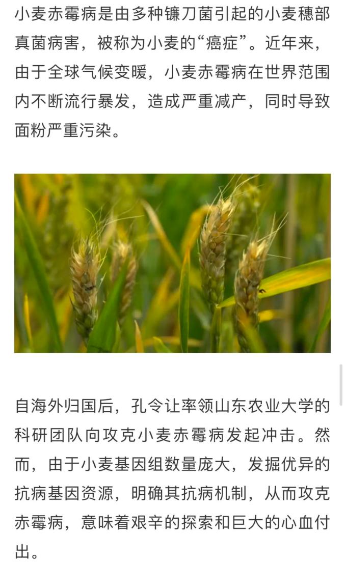 《追梦中华·百年赤子心》第六集——《侨智星辉》