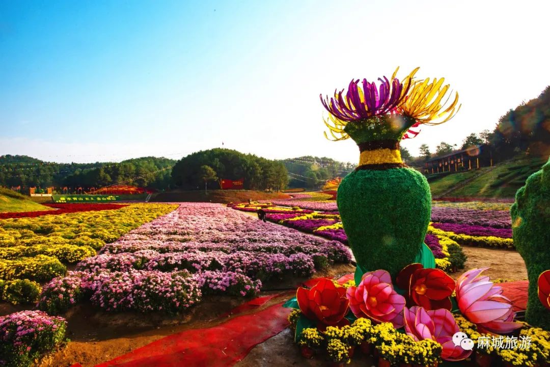 书记带您游魅力麻城，超多看点~_澎湃号·政务_澎湃新闻-The Paper