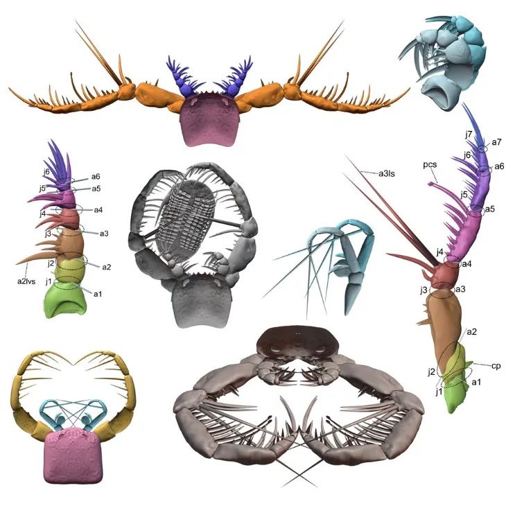 世界恐龙日：Cell Press三刊古生物学精选