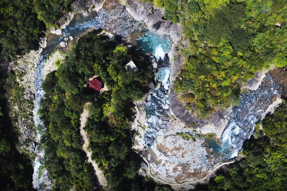 耕在泮洋，认种良田|麦悠悠农场喊您来做东“稻”主啦！_澎湃号·政务_澎湃新闻-The Paper