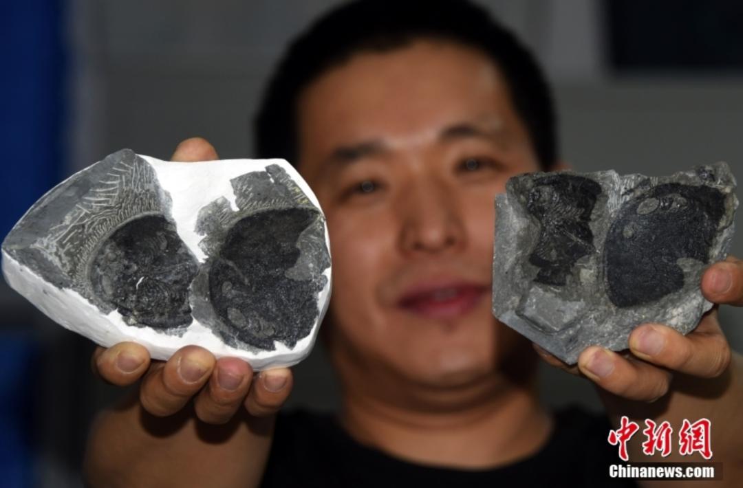 科技早新闻来了丨2022-5-30_澎湃号·媒体_澎湃新闻-The Paper