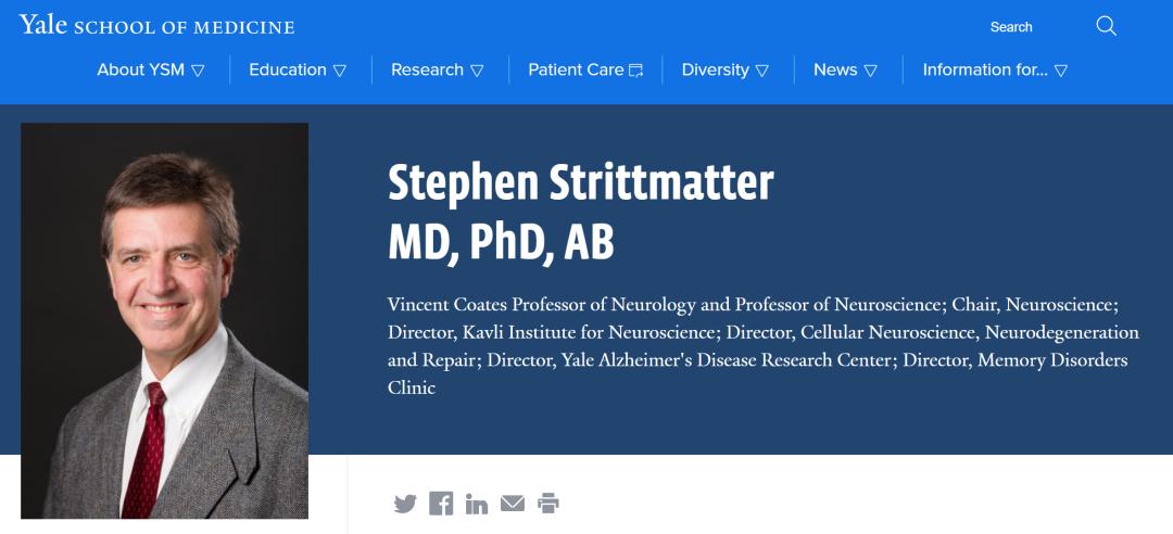 实验性药物可逆转阿尔茨海默病小鼠模型的突触损失