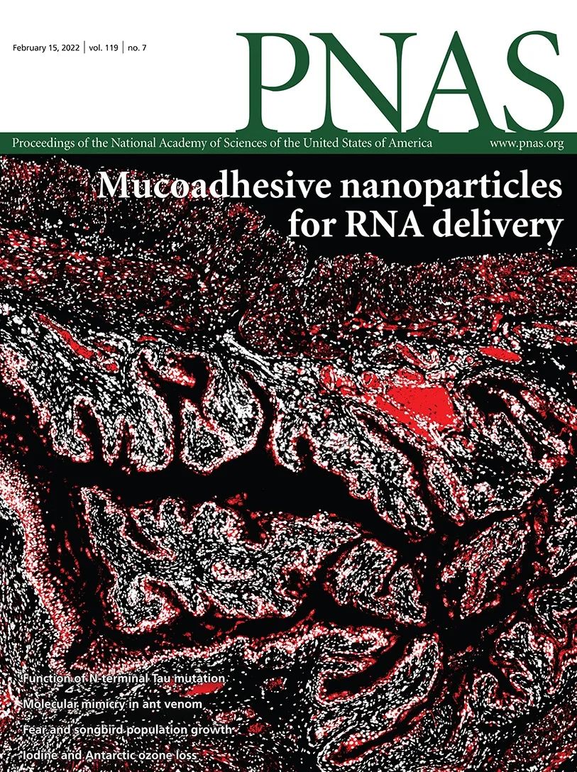 新文速递 | 谢宇教授在PNAS上发表论文论当代中国的社会流动趋势_澎湃号·湃客_澎湃新闻-The Paper