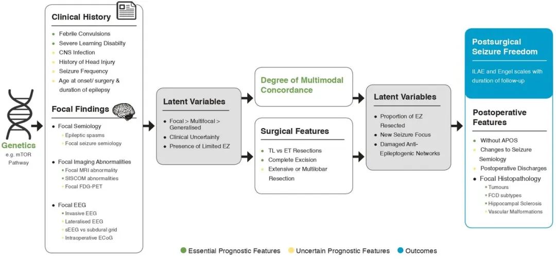 国际癫痫关爱日 | JNNP最新前沿：癫痫手术后无癫痫发作的多模态预后特征_澎湃号·湃客_澎湃新闻-The Paper