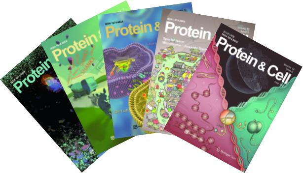 【学会动态】《Protein & Cell》 2022年最新发布影响因子稳步提高