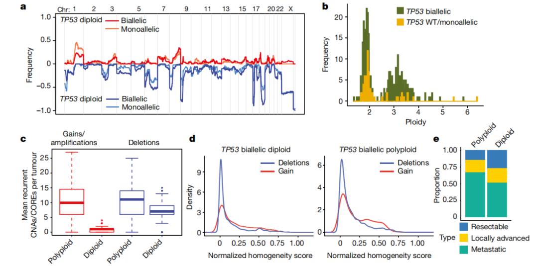 Nature：揭开p53基因与癌症发生之间的全新关系，为广谱抗癌药物开发指明方向