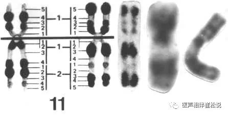 会遗传的心律失常
