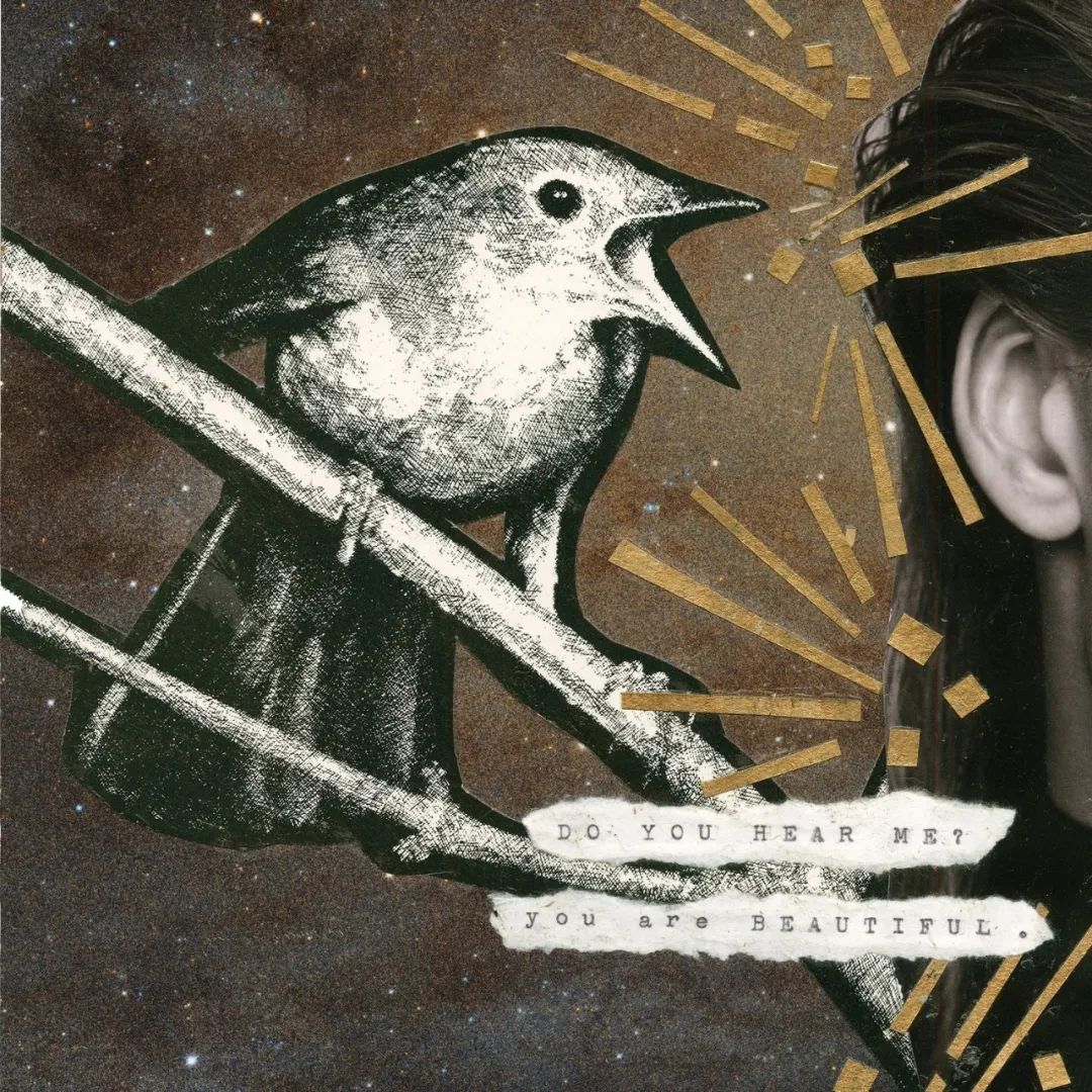 为什么蒂尔达、帕丁森为鸟读诗？还有马友友、小野洋子为鸟献歌？_澎湃号·湃客_澎湃新闻-The Paper