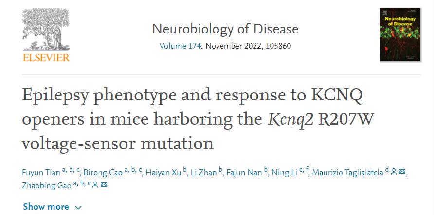 Neurobiol Dis | 新一代靶向KCNQ2通道抗癫痫药物治疗罕见突变型癫痫获动物水平验证