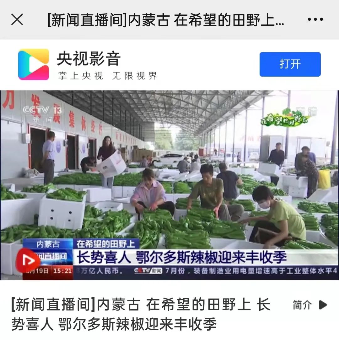 鄂托克前旗今年这两件事被央视“点名”_澎湃号·政务_澎湃新闻-The Paper