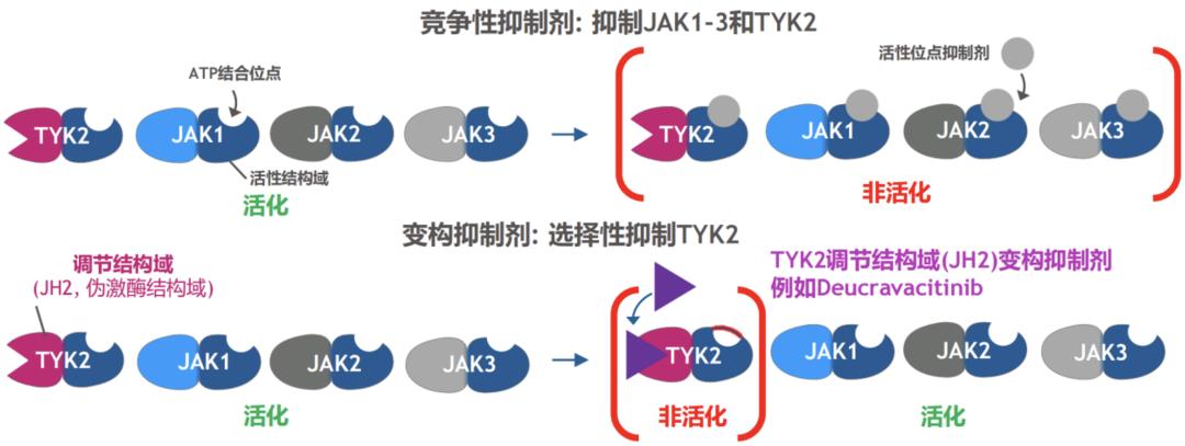 银屑病治疗辟新路，揭秘全球首个TYK2变构抑制剂的诞生始末丨奇点深度