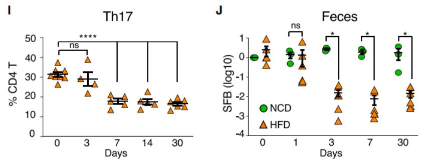 《细胞》：高糖砸了免疫细胞的场子