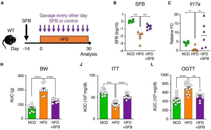 《细胞》：高糖砸了免疫细胞的场子