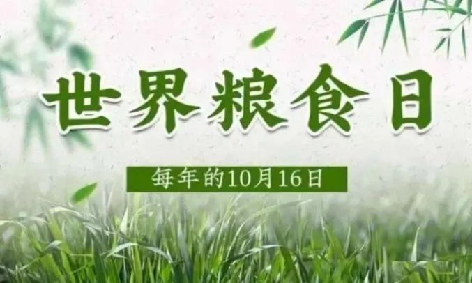 2022年世界粮食日和全国粮食安全宣传周来啦！澎湃号·政务澎湃新闻 The Paper