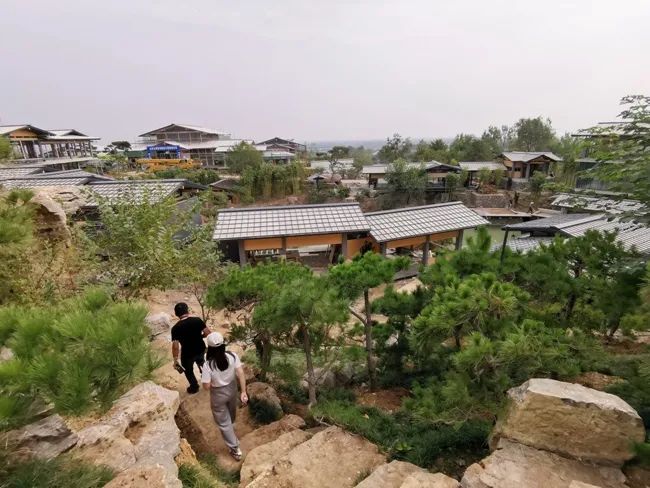 外语新闻｜Linji csodálatos hátsókertje_澎湃号·政务_澎湃新闻-The Paper