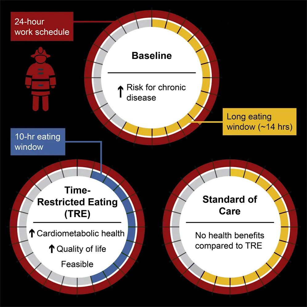 Cell子刊：限时进食策略可以改善轮班工作者的心脏代谢健康