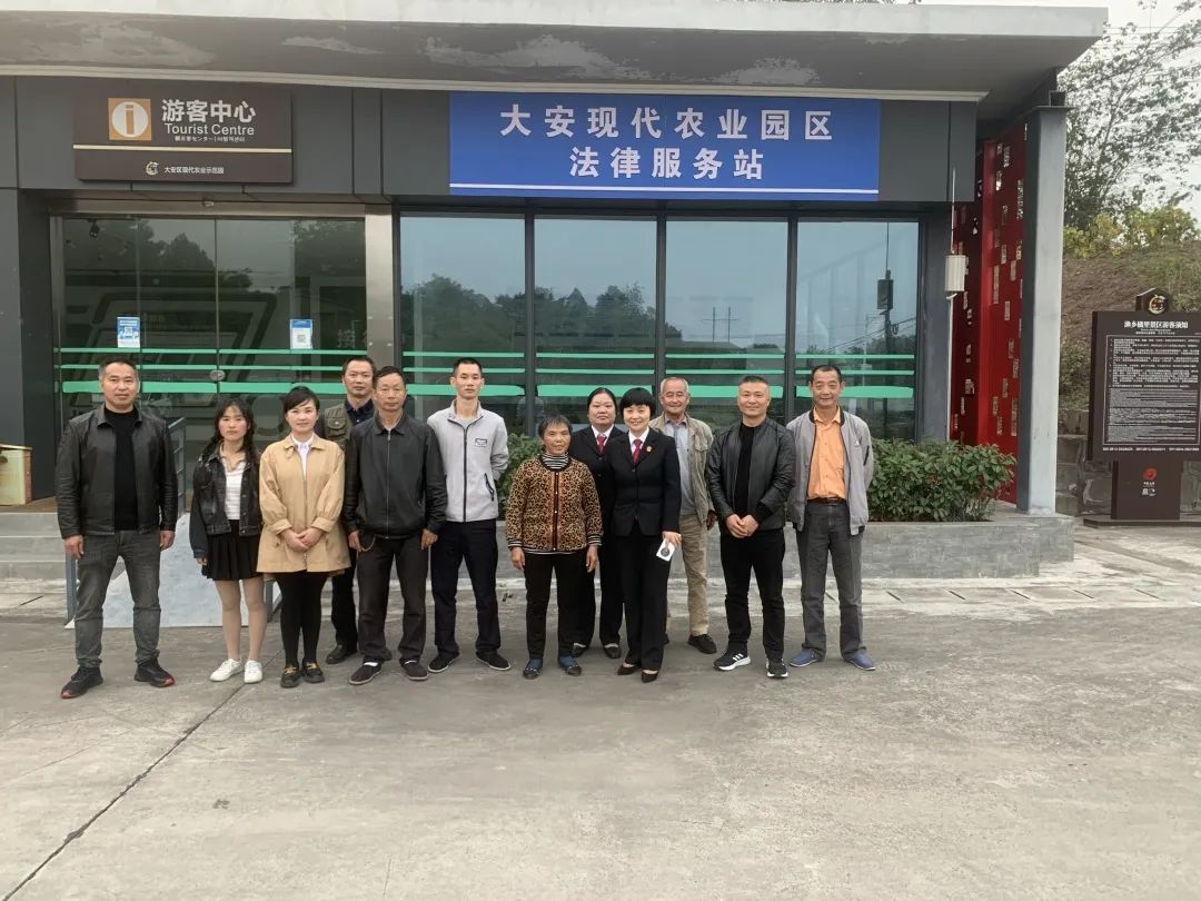 护航产业发展 助力乡村振兴 大安农业园区法官工作室化解一起养蜂纠纷案 澎湃号·政务 澎湃新闻 The Paper
