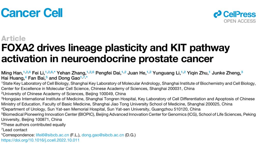 【学术前沿】Cancer Cell | 高栋团队发现FOXA2调控前列腺腺癌向神经内分泌癌谱系转变…