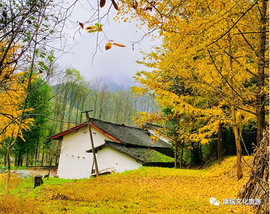 这个秋冬季，来王坝镇何家庄村，赴一场温暖的旅行_澎湃号·政务_澎湃新闻-The Paper