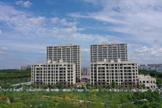 G228、动迁安置房、住宅修缮……金山这些重大工程和实事项目进度来了！_澎湃号·政务_澎湃新闻-The Paper