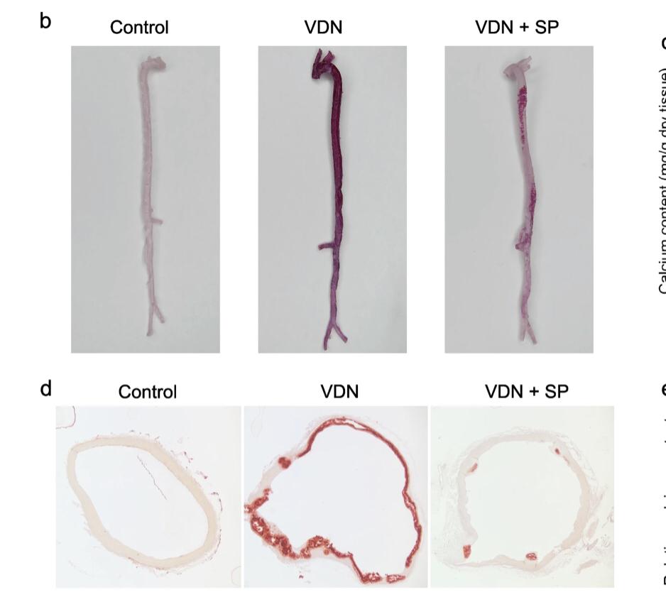 身心健康研究前沿：为什么丙酸对健康这么重要？