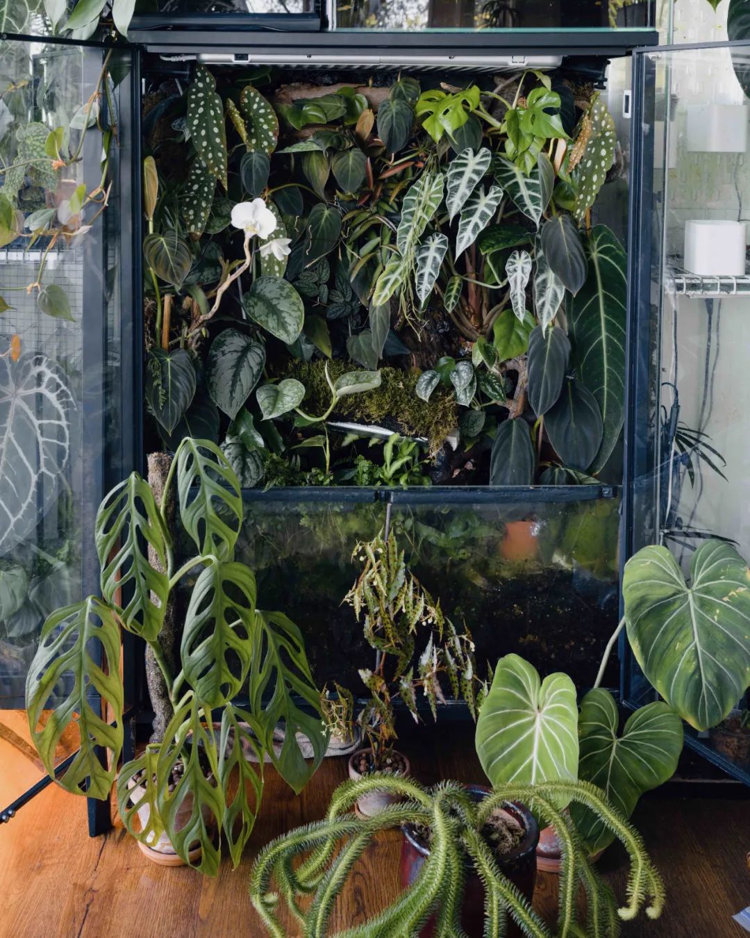 植觉时刻：畅想共生未来_澎湃号·湃客_澎湃新闻-The Paper