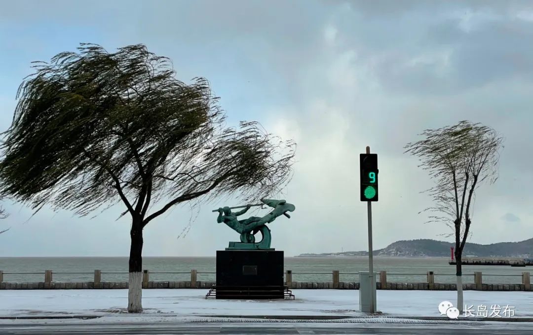 无雪不冬，看海岛飞雪起舞的美丽瞬间_澎湃号·政务_澎湃新闻-The Paper
