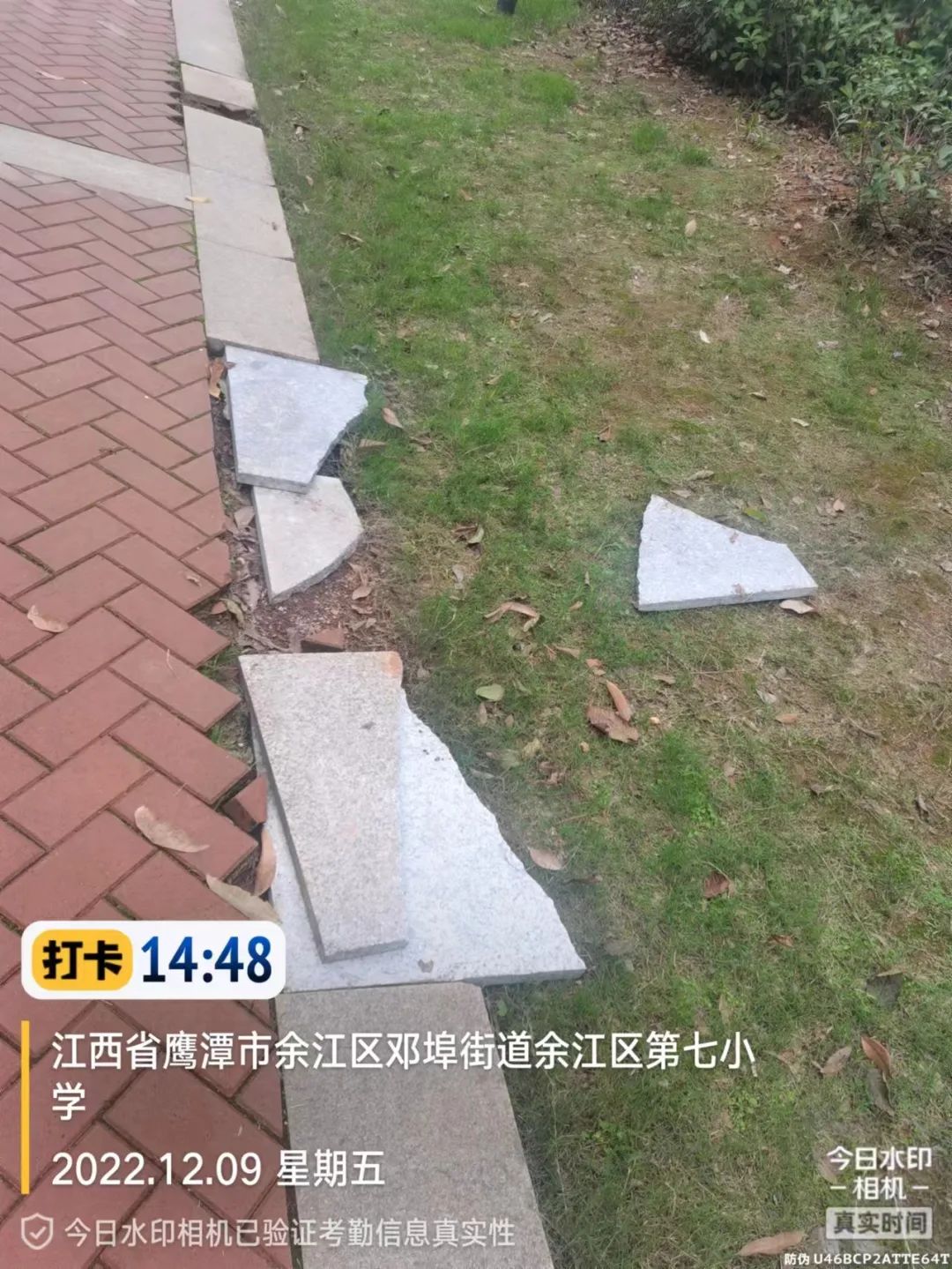 督查通报_澎湃号·媒体_澎湃新闻-The Paper