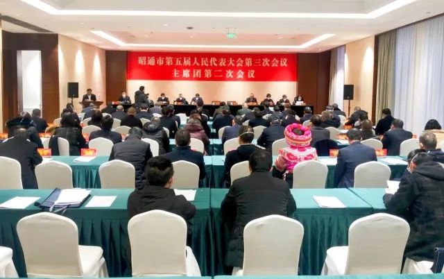 市五届人大三次会议主席团举行第二次会议 澎湃号·政务 澎湃新闻 The Paper