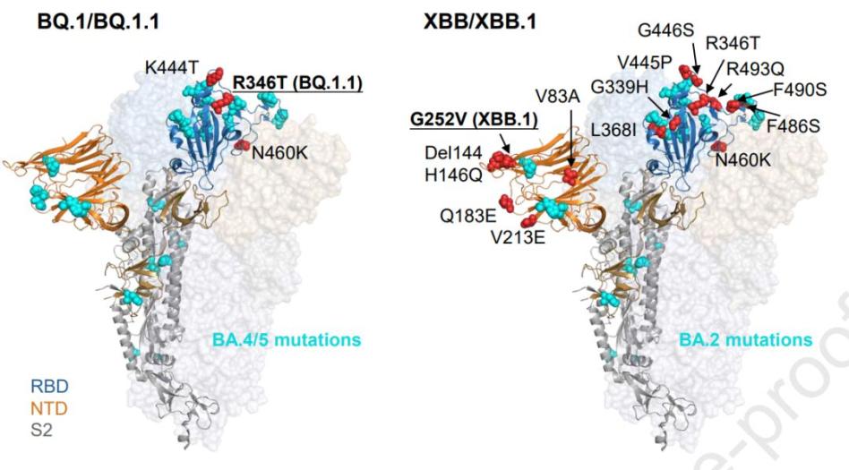 国内已有三地检出XBB！会造成新一轮感染高峰吗？专家详解→_澎湃号·媒体_澎湃新闻-The Paper