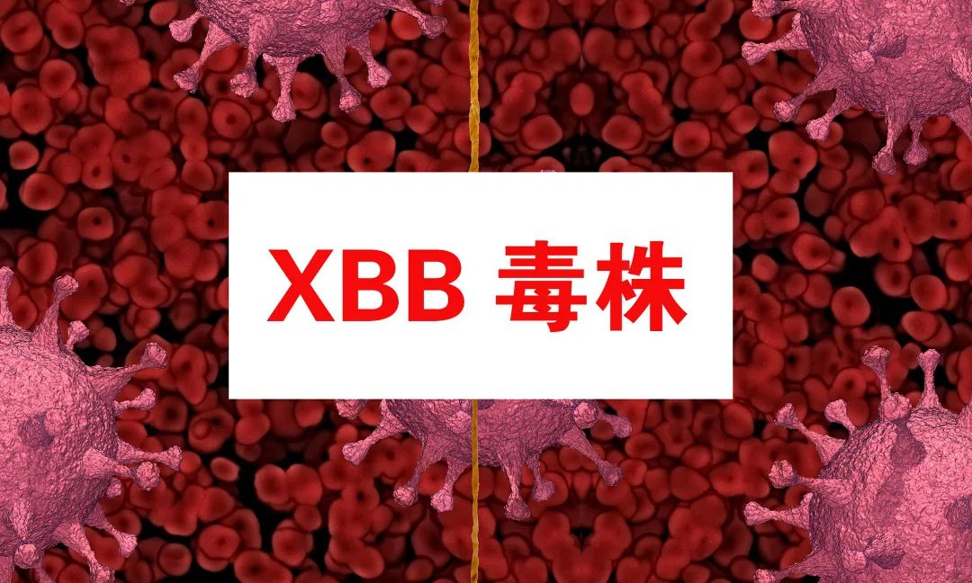 刚刚通报，又一地发现XBB！如何应对二次感染？官方回应_澎湃号·媒体_澎湃新闻-The Paper
