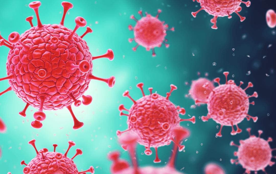 北大曹云龙再发文：揭秘XBB.1.5的传播性增强的原因_澎湃号·湃客_澎湃新闻-The Paper