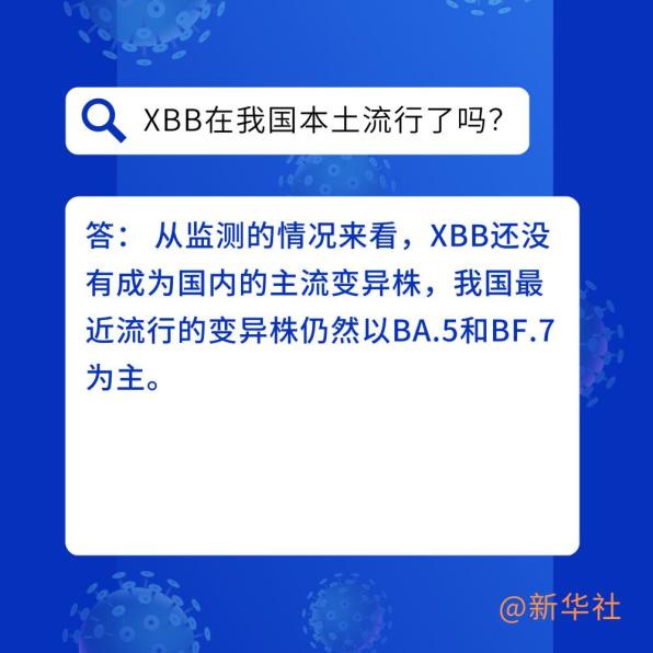 海报 | 六问六答带你了解XBB变异毒株关键点_澎湃号·政务_澎湃新闻-The Paper